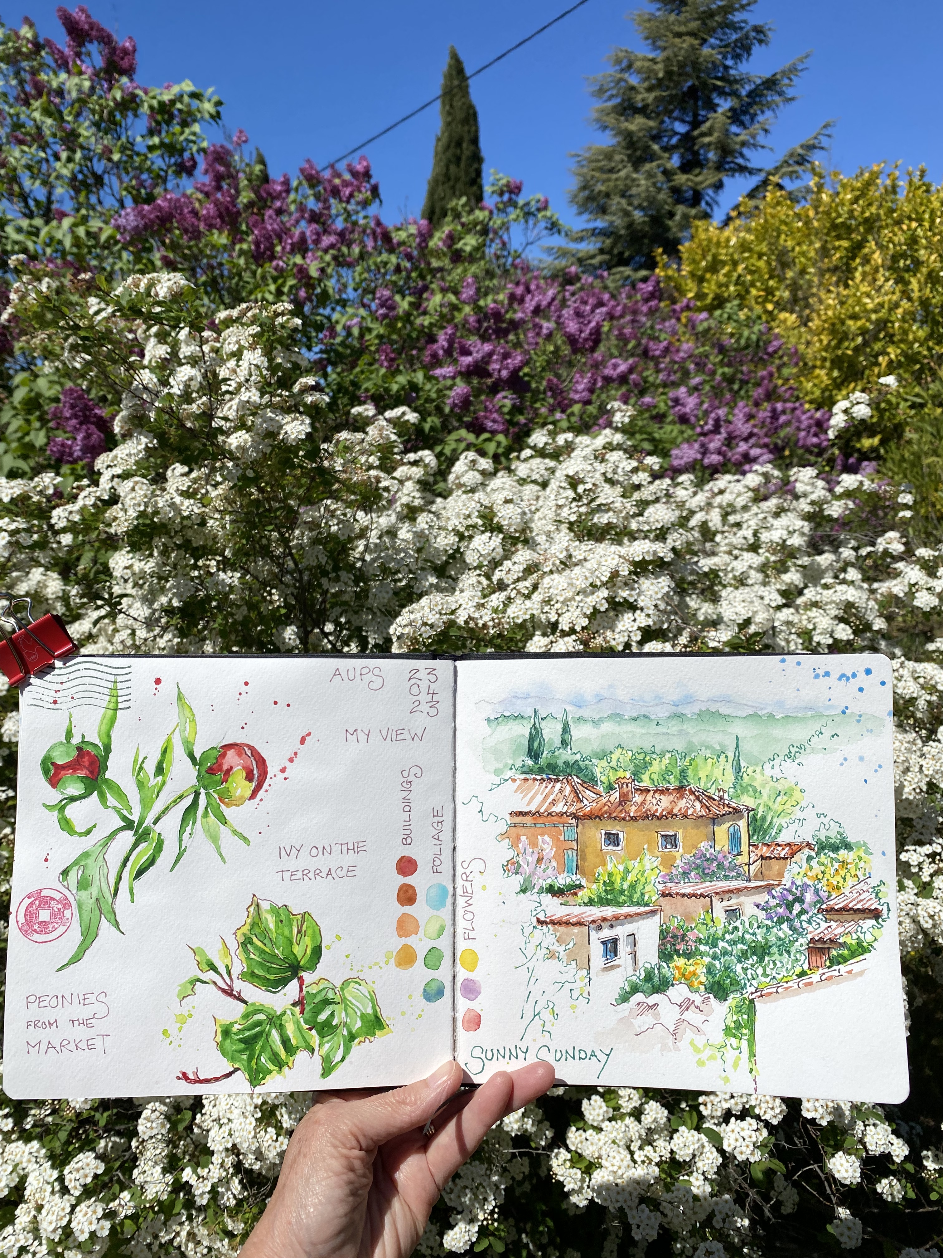 sometime last summer – Susan Knapp Sketches