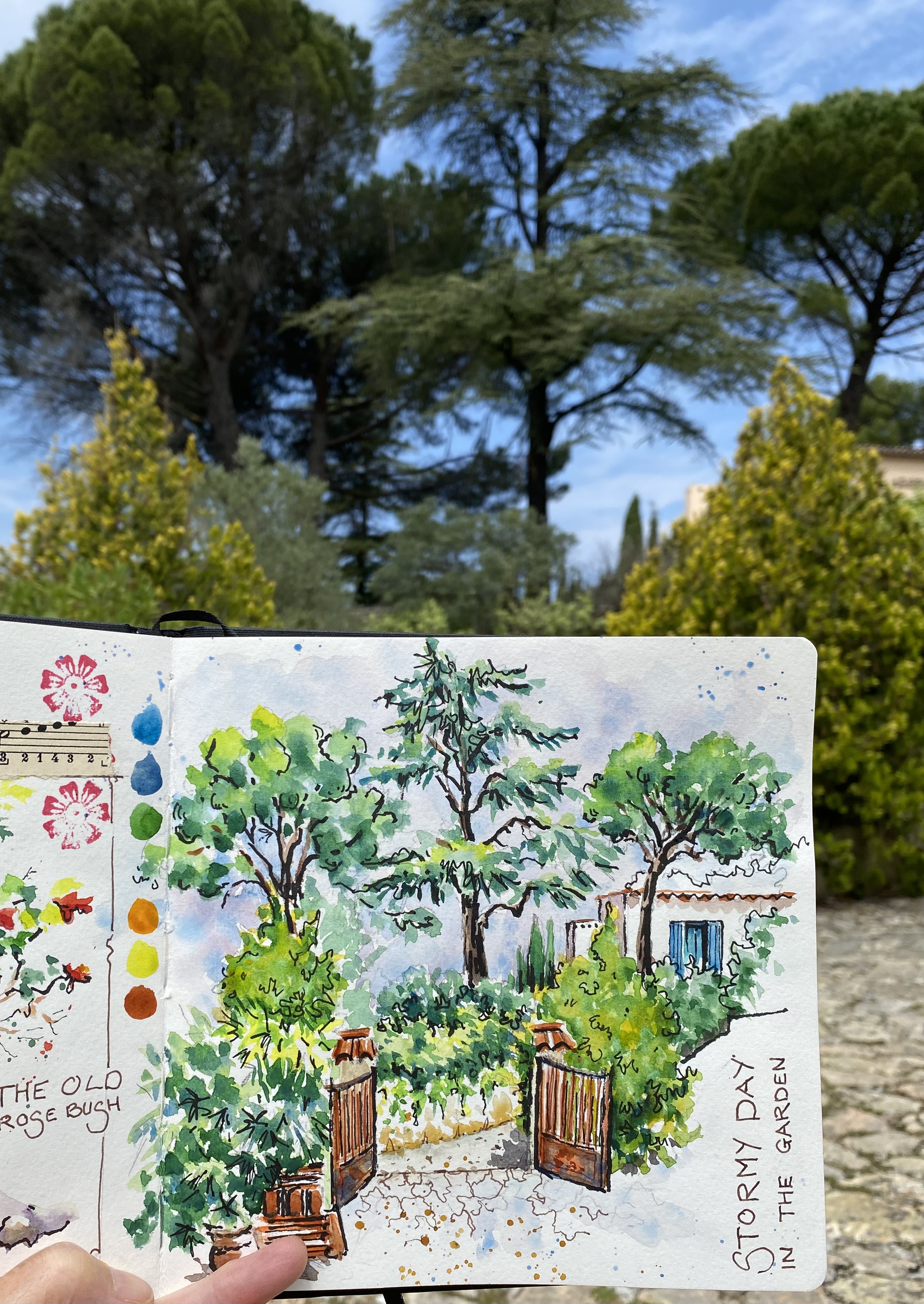 sometime last summer – Susan Knapp Sketches