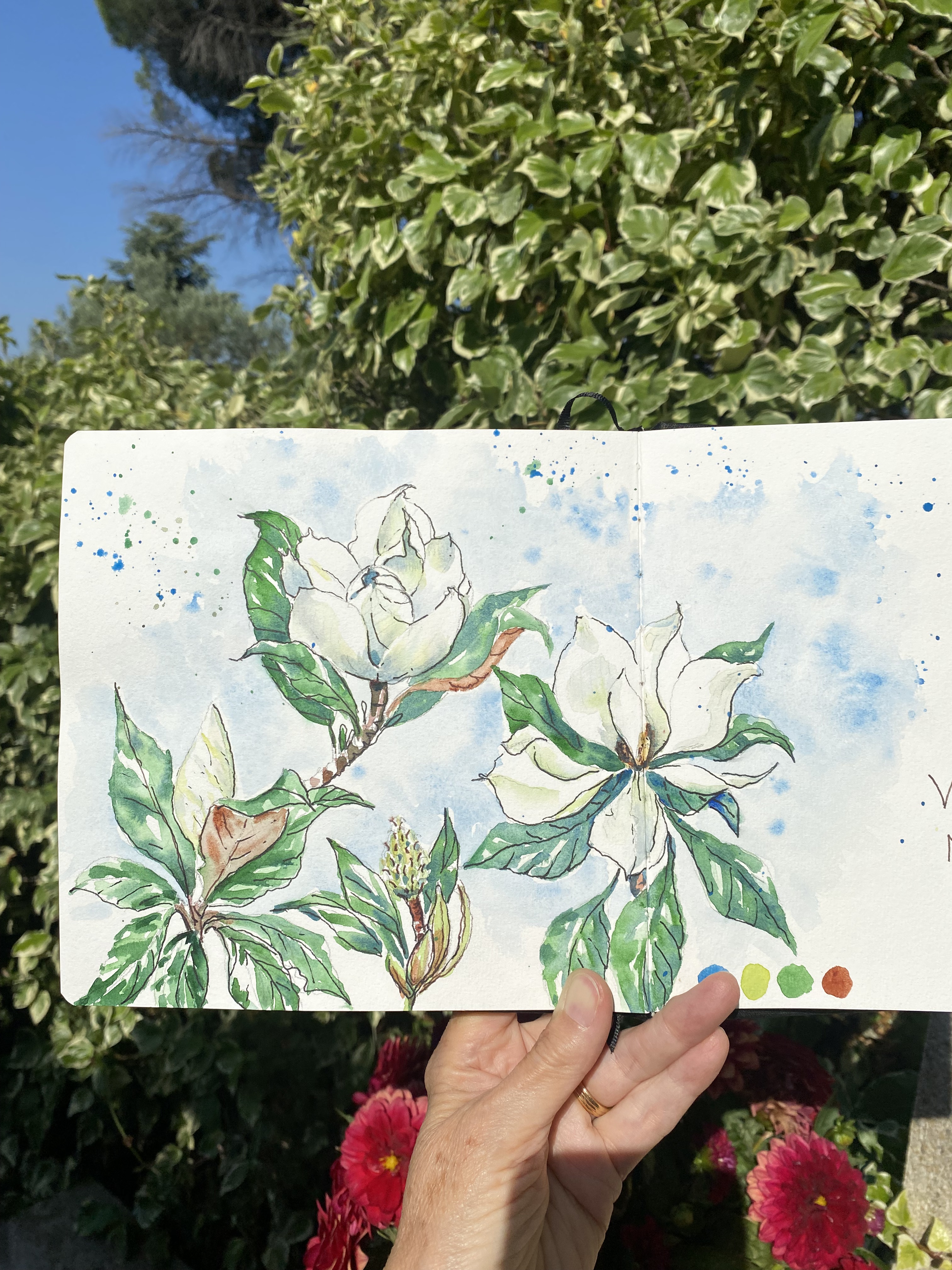 sometime last summer – Susan Knapp Sketches
