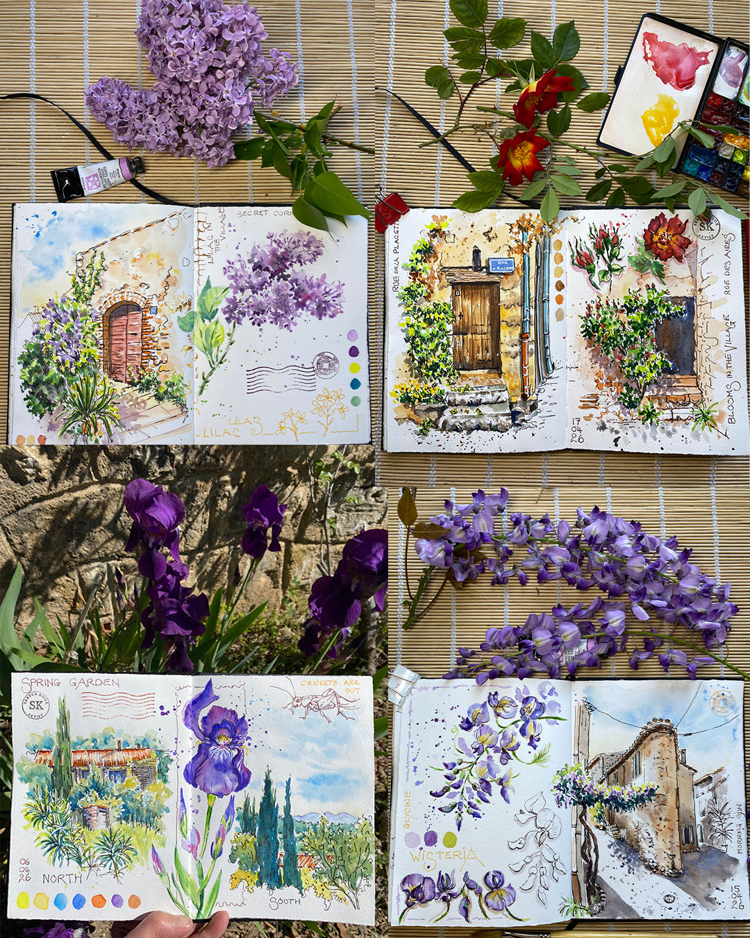 Springtime in Provence – Susan Knapp Sketches